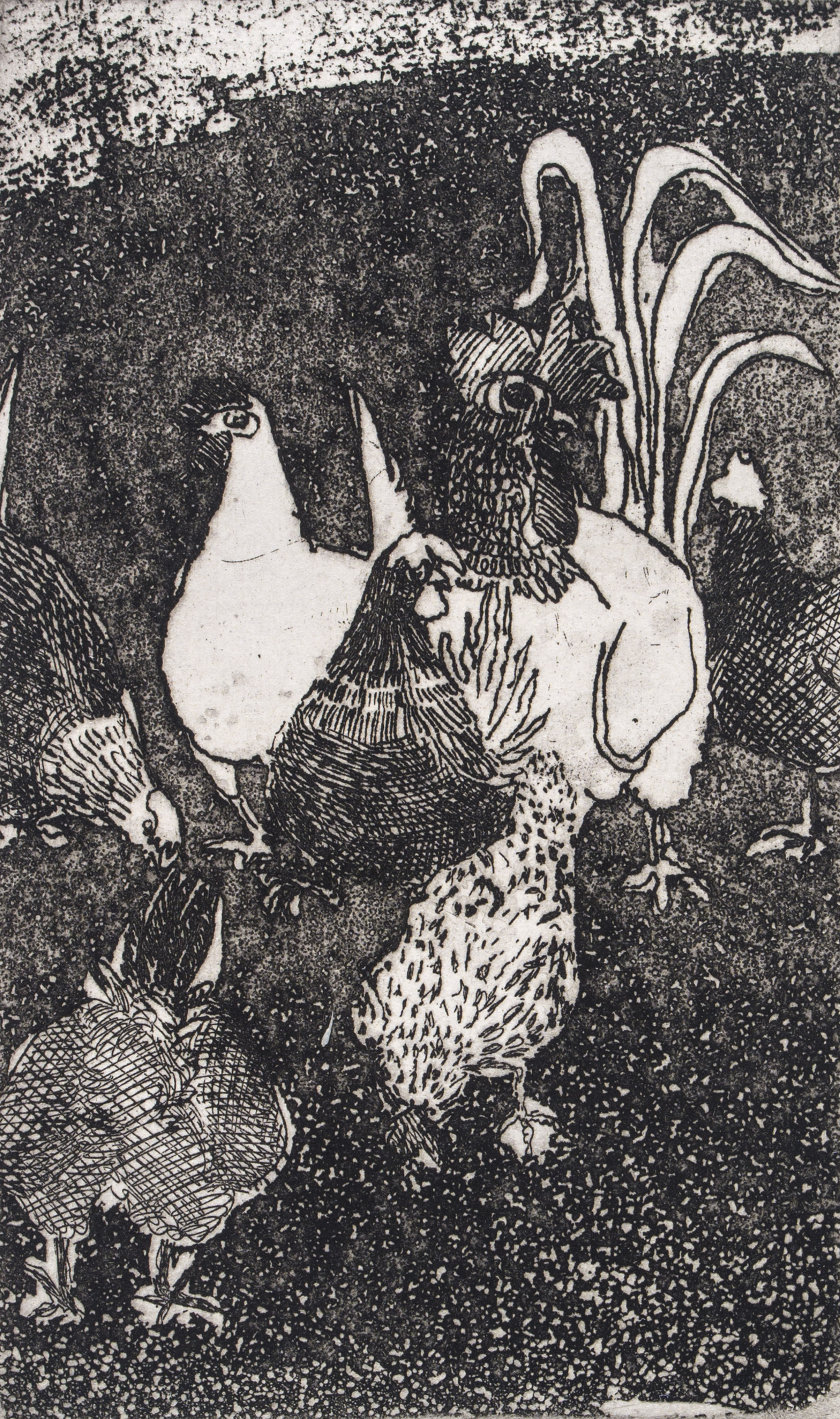 'The Painter & the Printmaker' Exhibition Tour | William Robinson Gallery